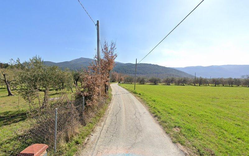 Scioli Angelo - Angoli Verdi