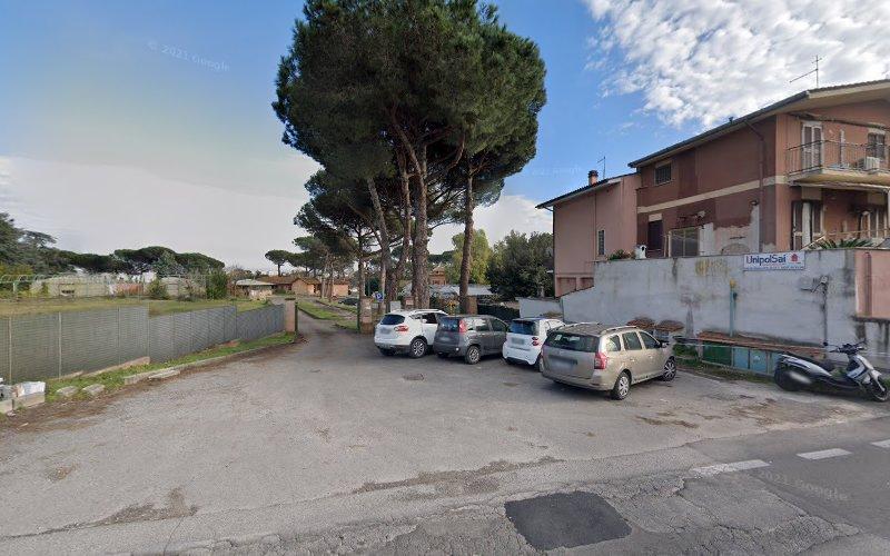 Selva Candida Srl - Angoli Verdi