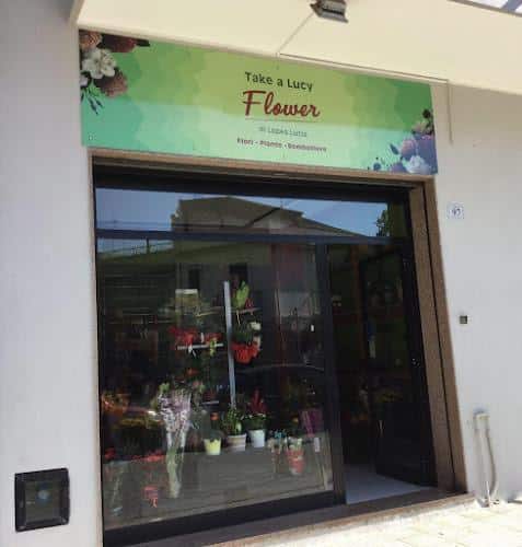 Take a Lucy Flower di Lucia Lopes - Angoli Verdi