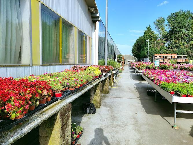 Verdeflora Garden Center - Vivaio - Angoli Verdi