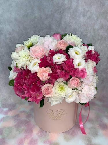 Violet Fiori E Piante - Angoli Verdi