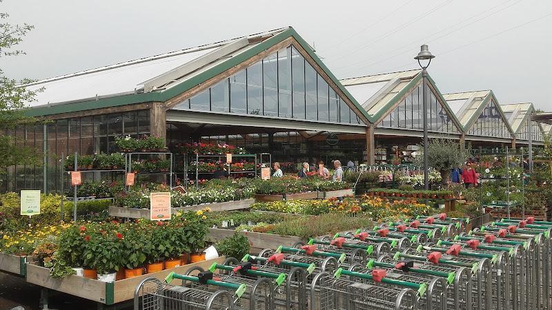 Viridea Garden Center Collegno (TO) - Angoli Verdi