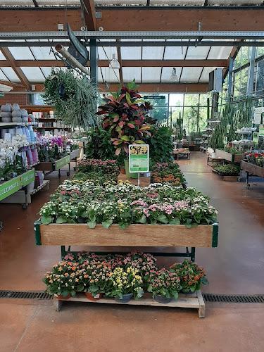 Viridea Garden Center Settimo Torinese (TO) - Angoli Verdi