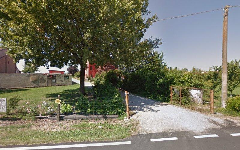 Vivai Begnardi Sergio - Angoli Verdi