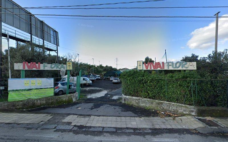 Vivai Flora - Angoli Verdi