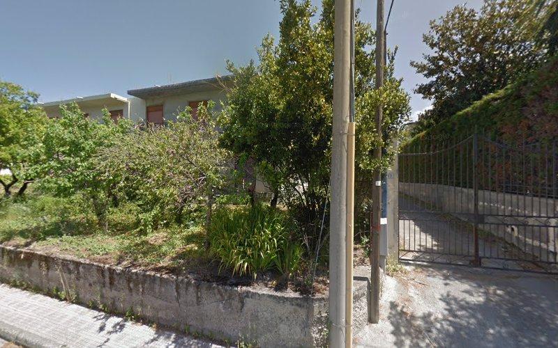 Vivai Maria Grazia Sergi Di Sergi Maria Grazia - Angoli Verdi