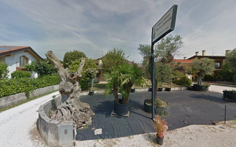 Vivai Toso Cav. Giovanni di Savio Pio & Toso Adalgisa - Angoli Verdi