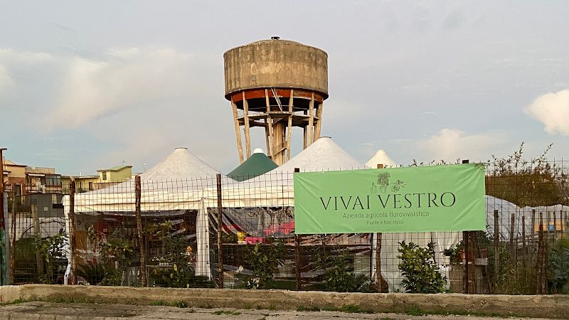 Vivai Vestro - Angoli Verdi