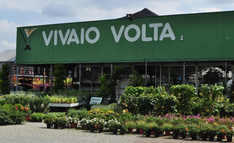 Vivaio Volta - Angoli Verdi