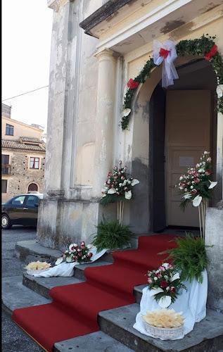 la rosa blu - Angoli Verdi